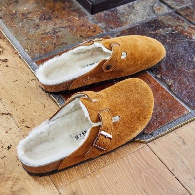 Should We Fear Suede Shoes? – Dolphins