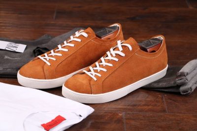 Should We Fear Suede Shoes? – Dolphins